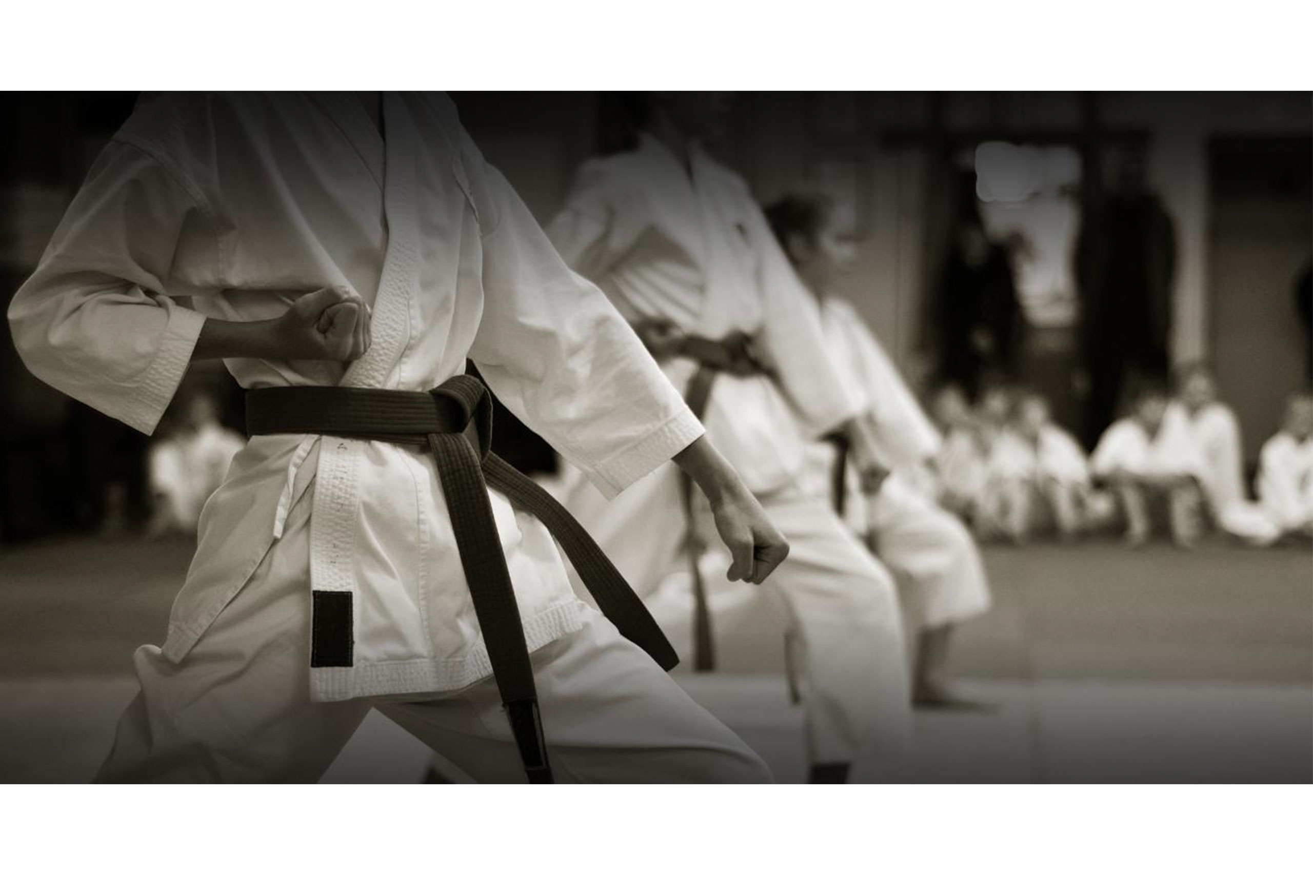 Karate - Rahula College